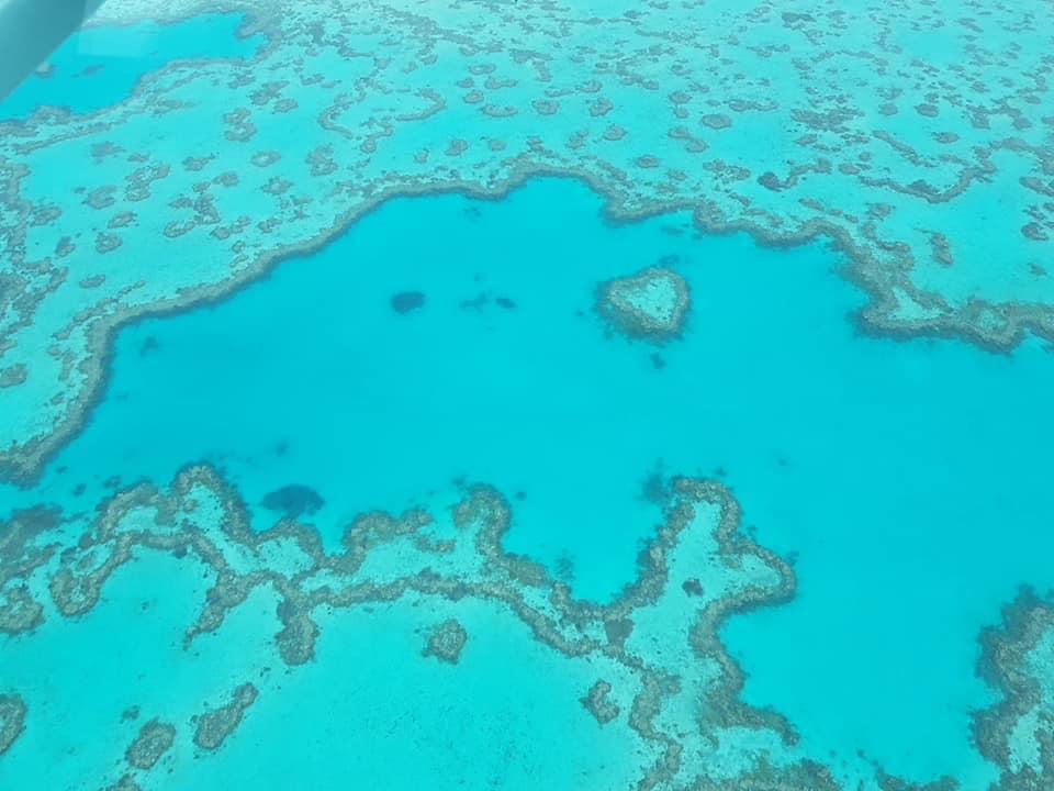 Blog – Idris Harries